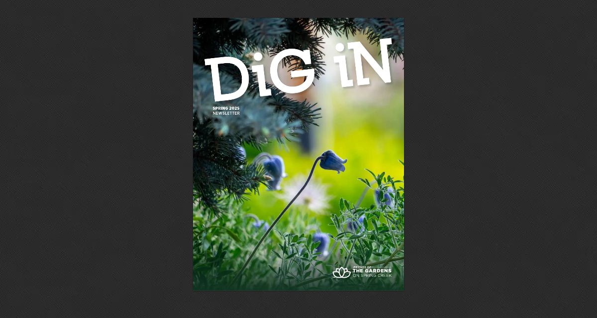 dig in spring 2025 web updated c : simplebooklet.com