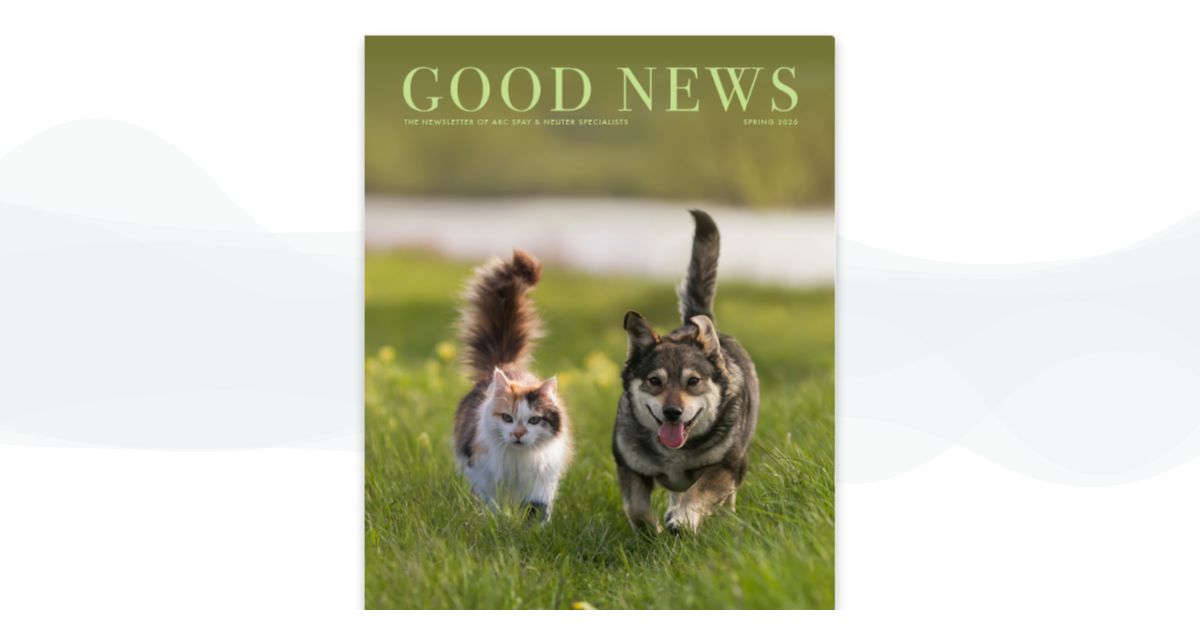 ARC Spring 2026 Newsletter! : simplebooklet.com