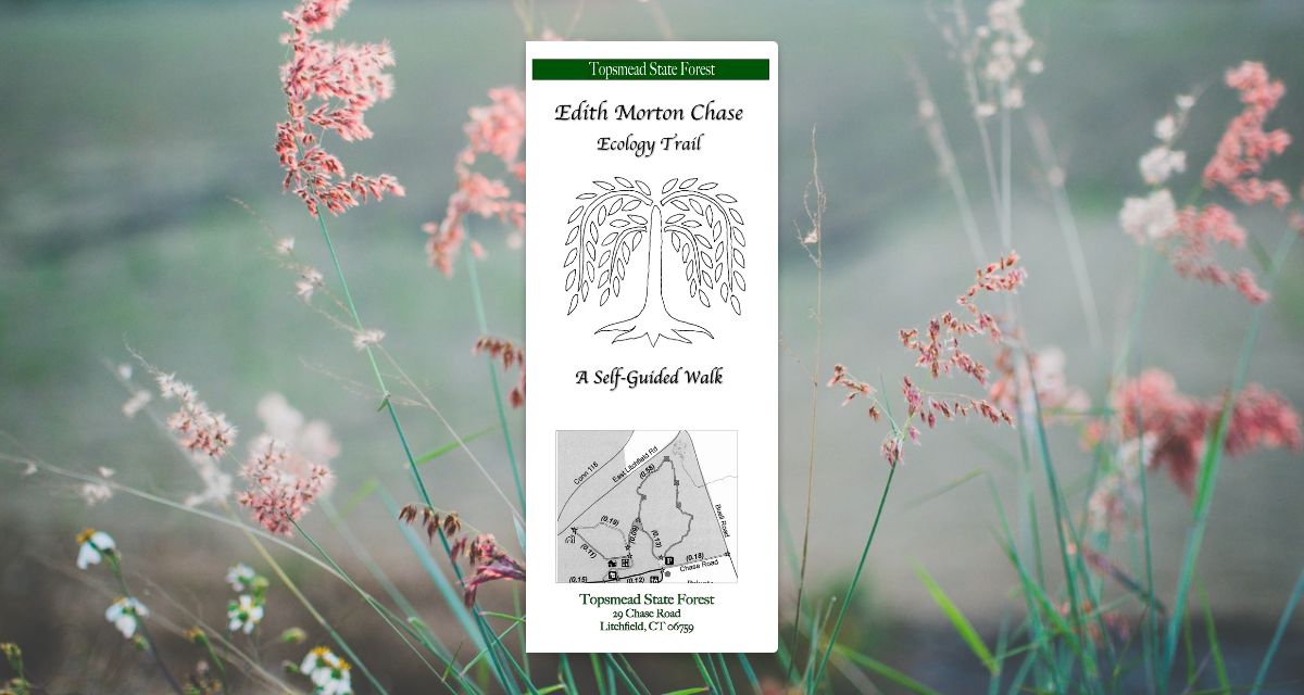 Topsmead Ecology Trail Map