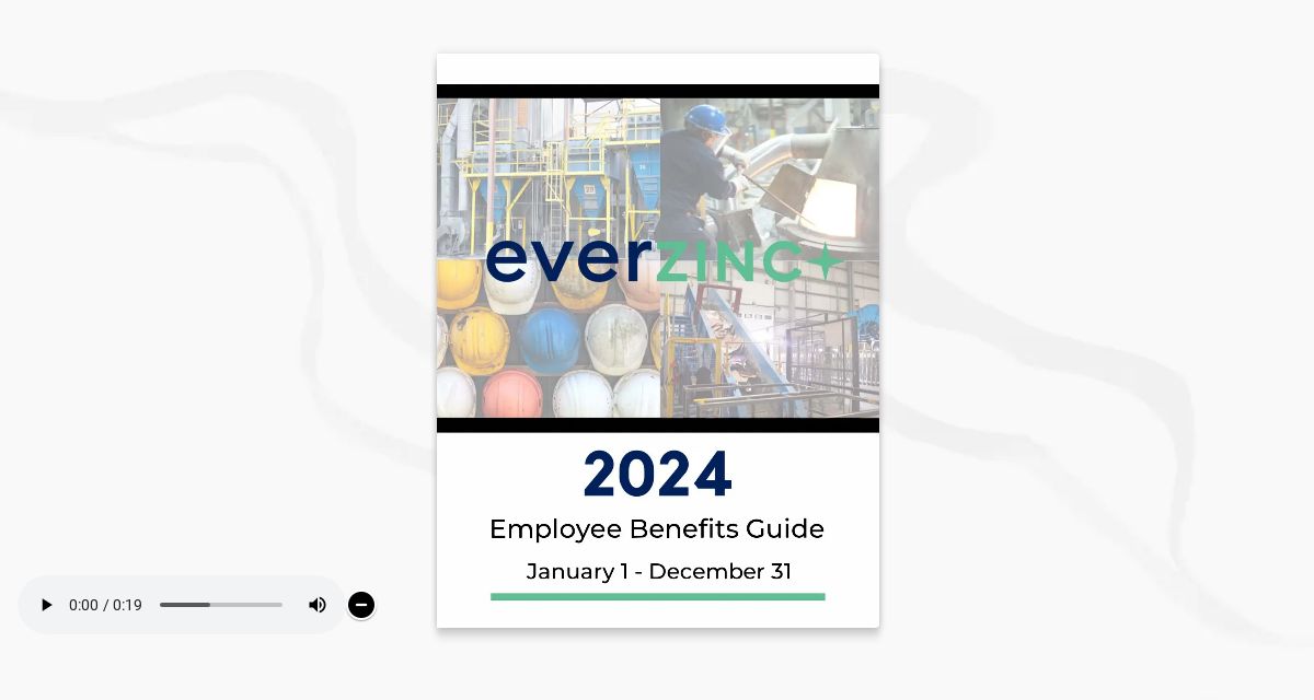 Everzinc 2024 Benefits Guide