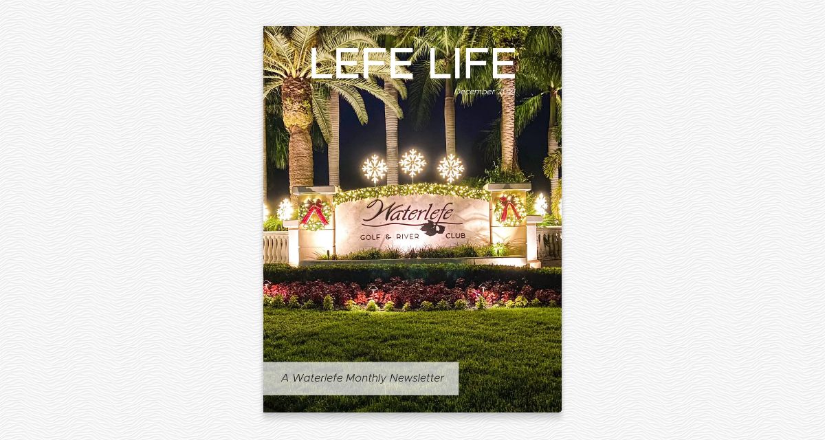 December 2021 Lefe Life