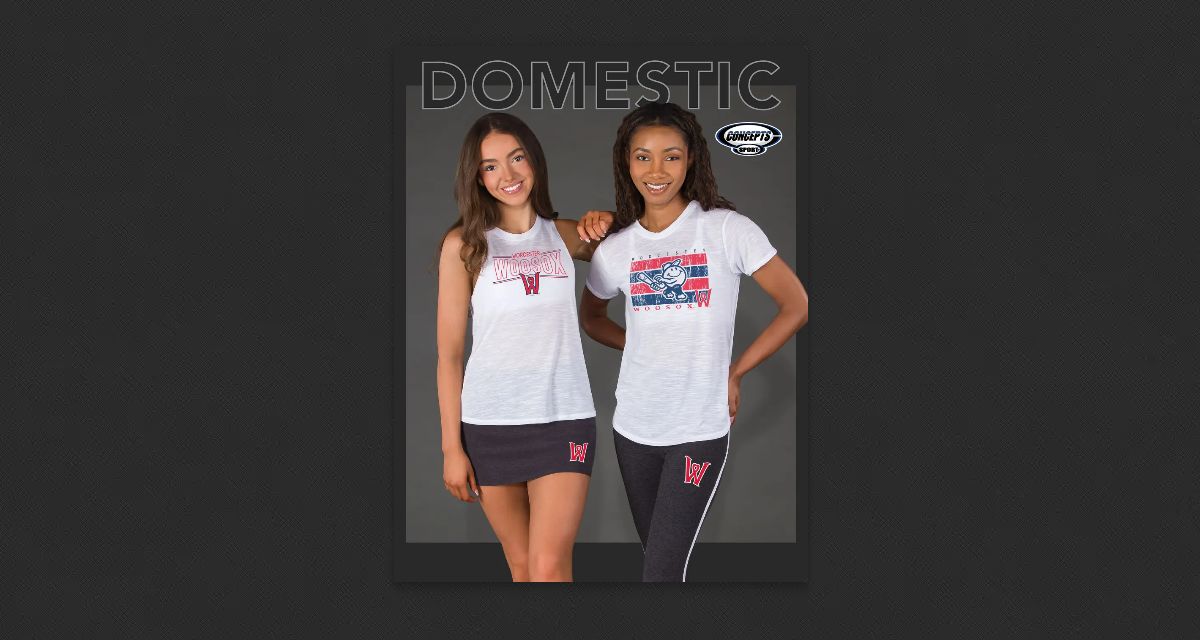 MiLB FA24 PORTFOLIO DOMESTIC : simplebooklet.com