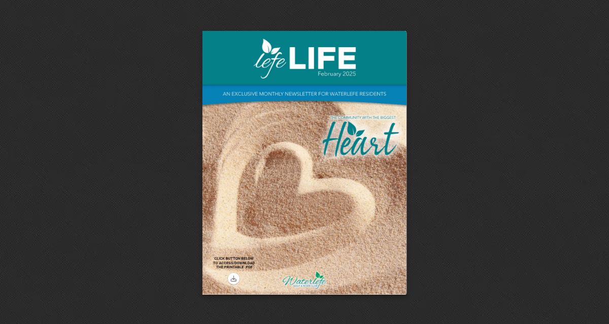 LEFE LIFE | February 2025