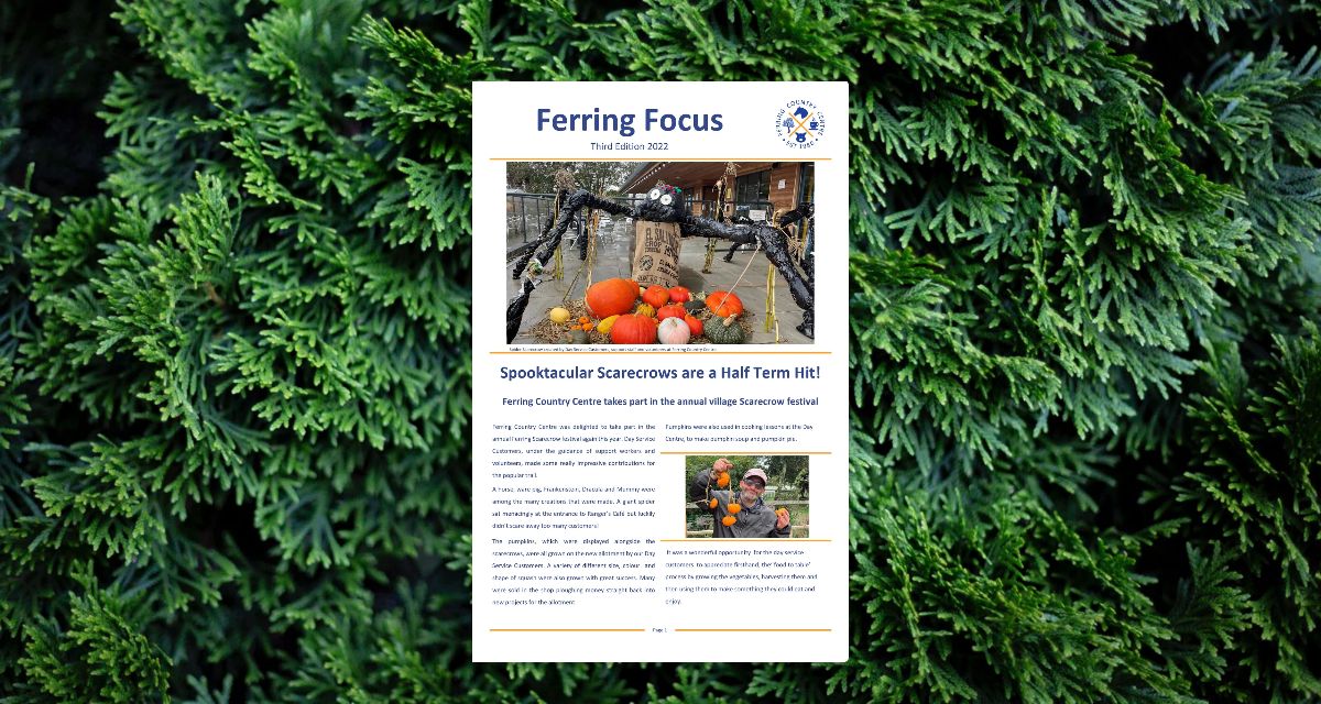Ferring Focus - Third Edition