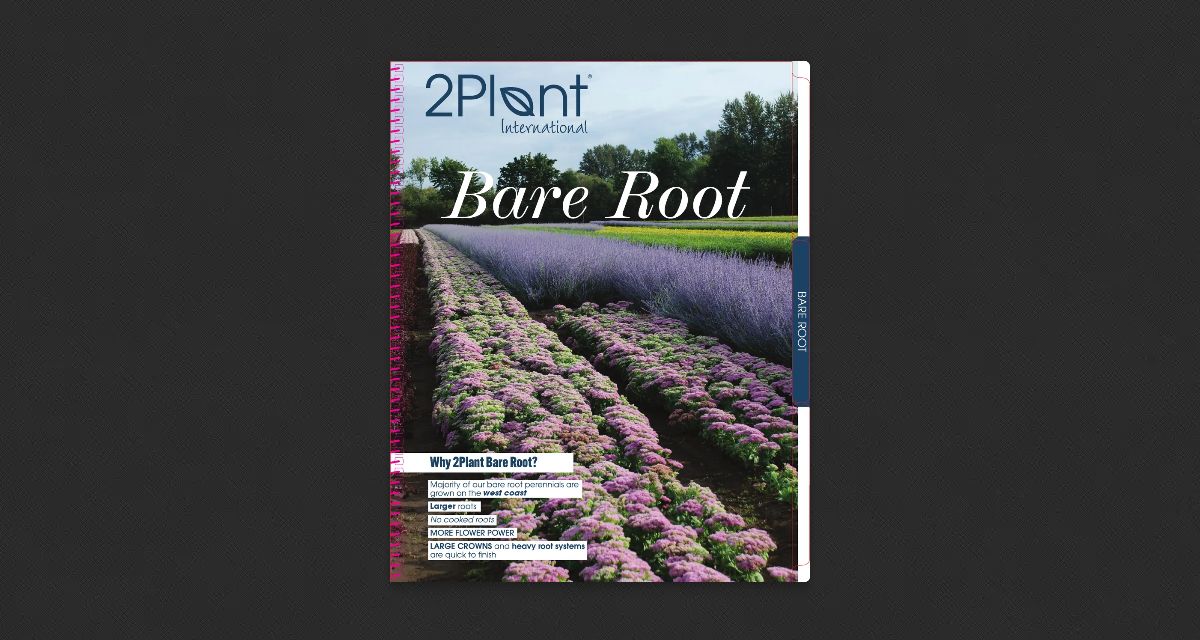 2Plant 2025 Folder BareRoot 2