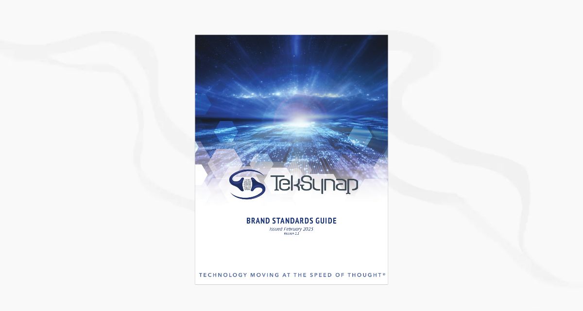 TekSynap Brand Standards