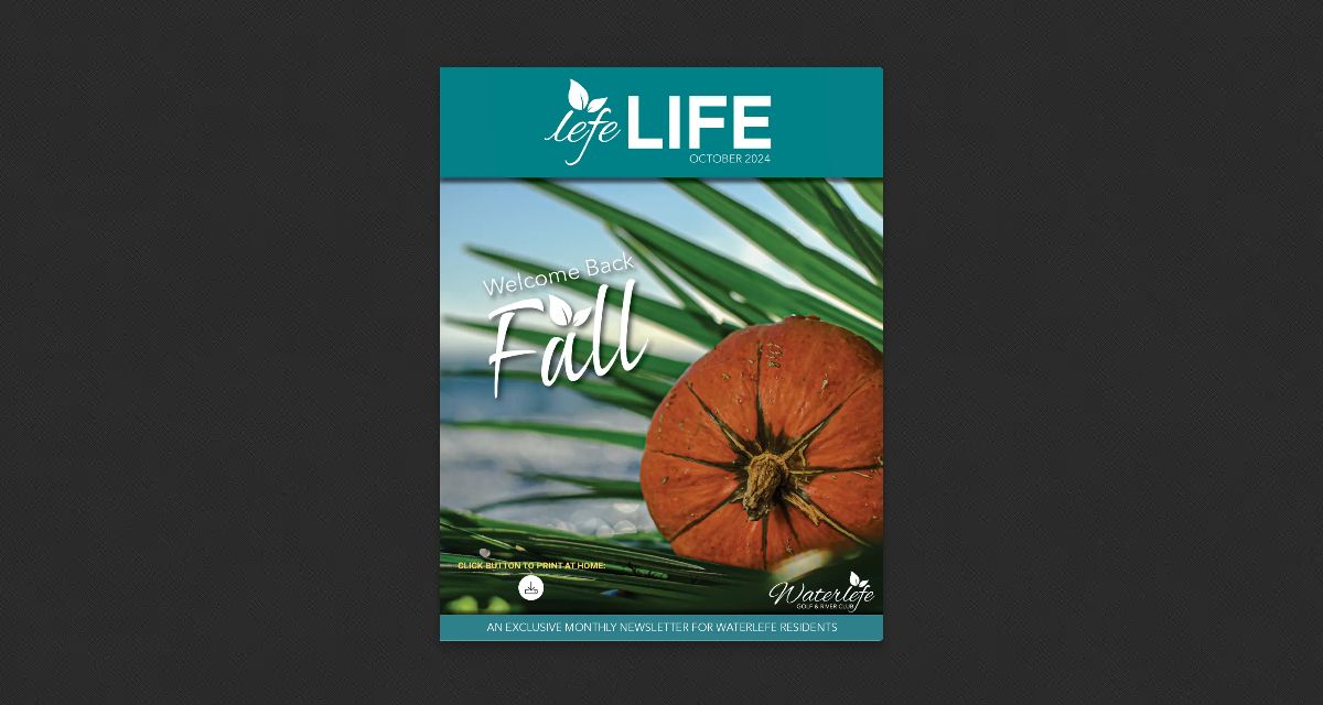 LEFE LIFE | October 2024