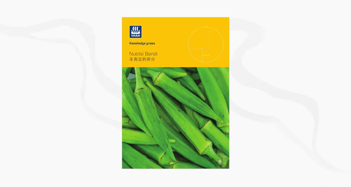 A4 Crop leaflet_Okra