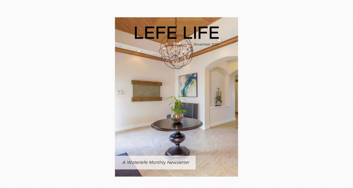 November 2021 Lefe Life