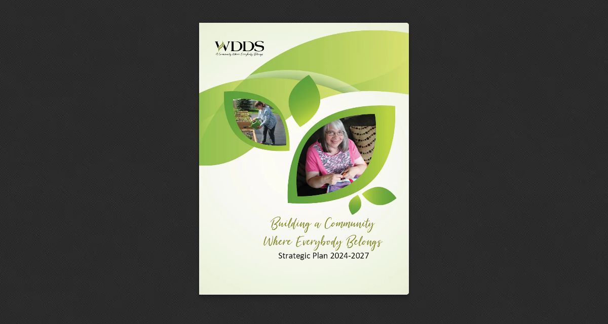 WDDS Strategic Plan 2024 2027 1