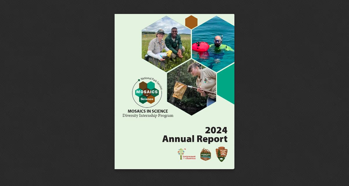 2024 MIS Report : simplebooklet.com