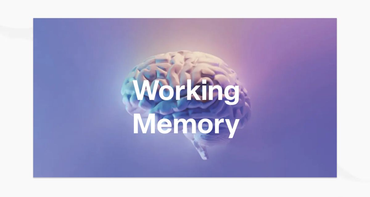 improving-working-memory-2024-2- : simplebooklet.com