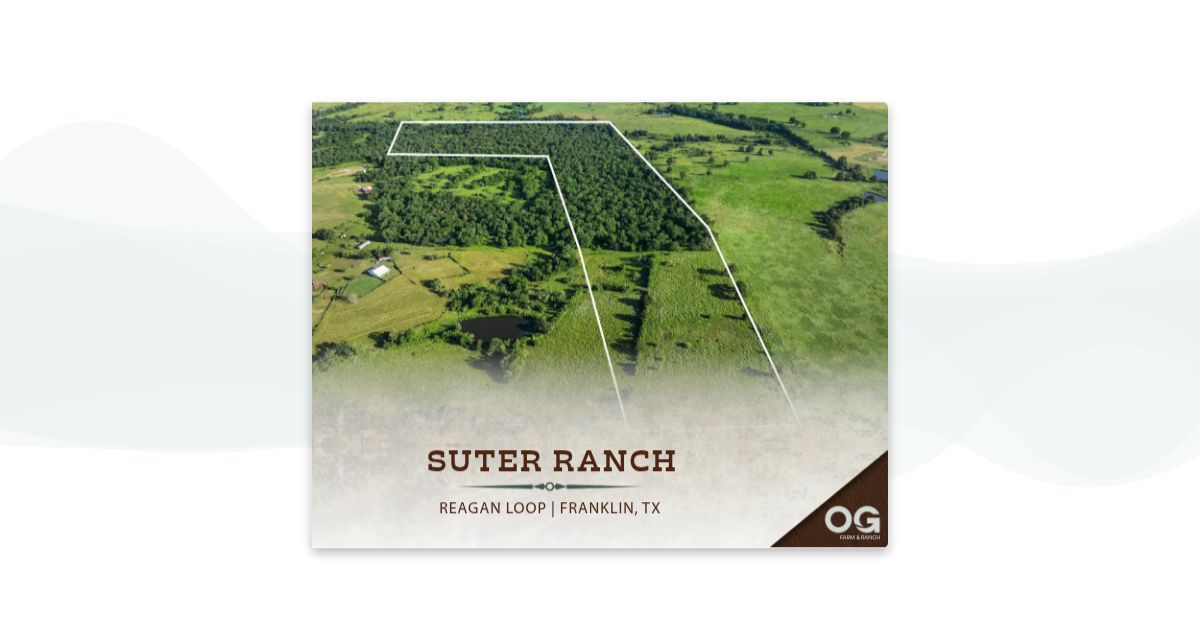 Suter Ranch | Franklin, TX