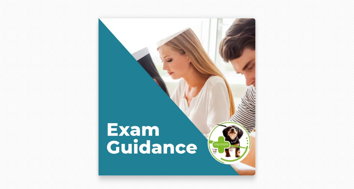 Exam Guidance