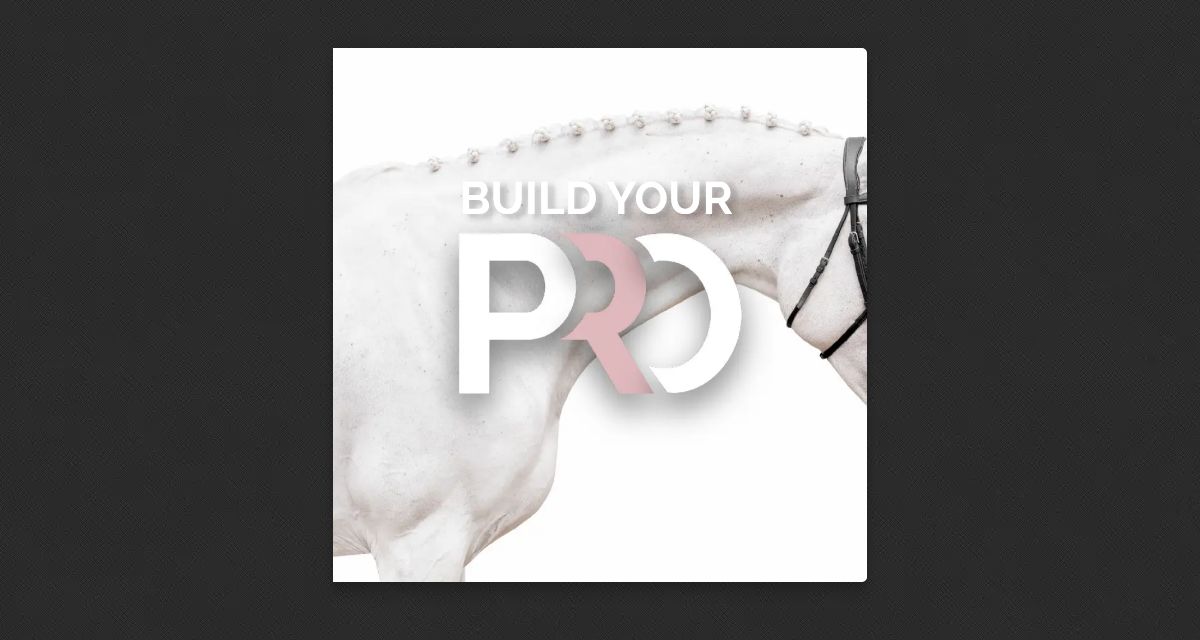 Build your PRO