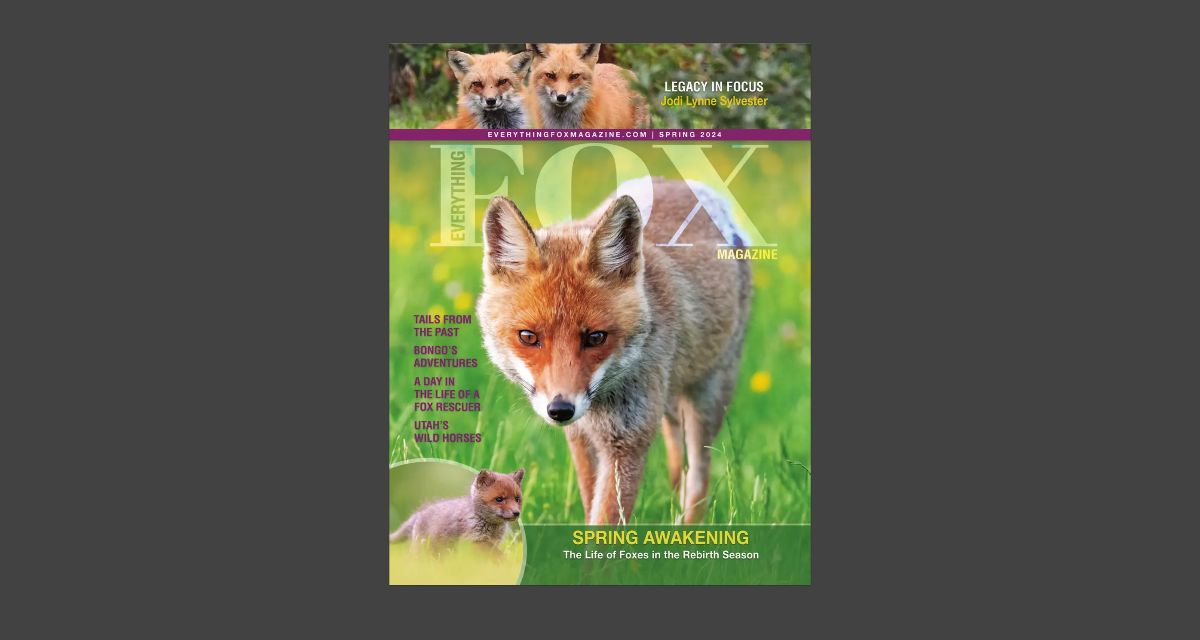 Spring Issue 2024 Digital : simplebooklet.com