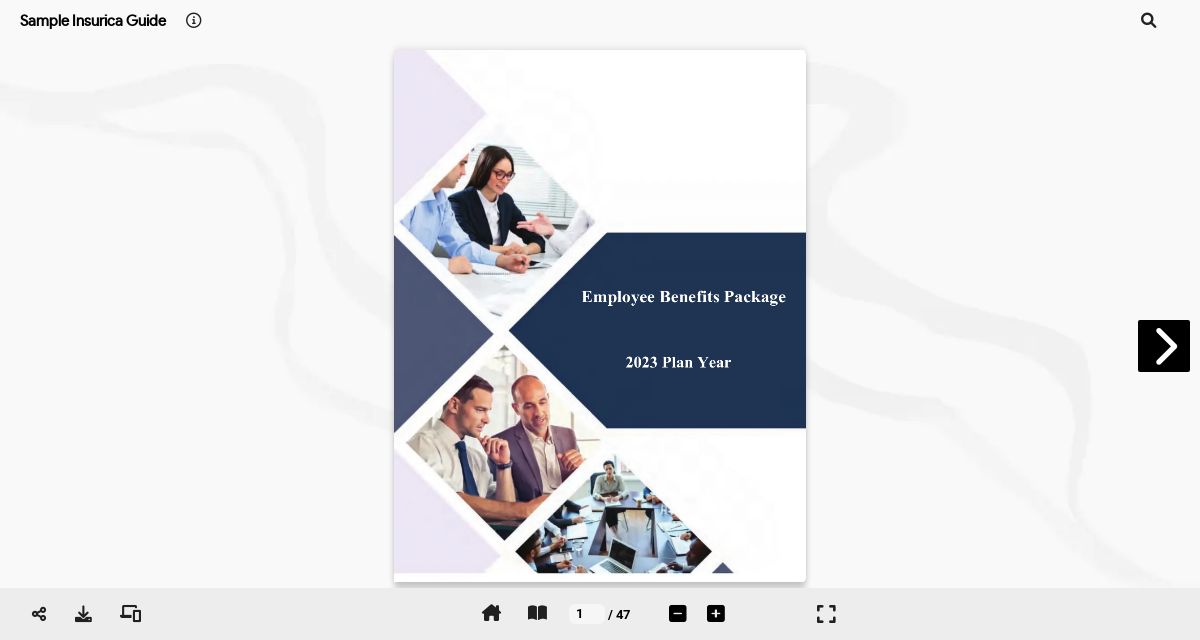 Sample Insurica Guide