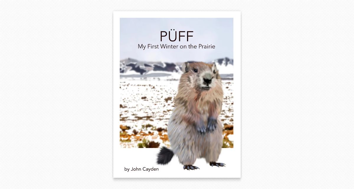 PUFF SAMPLE FLIP BOOK : simplebooklet.com