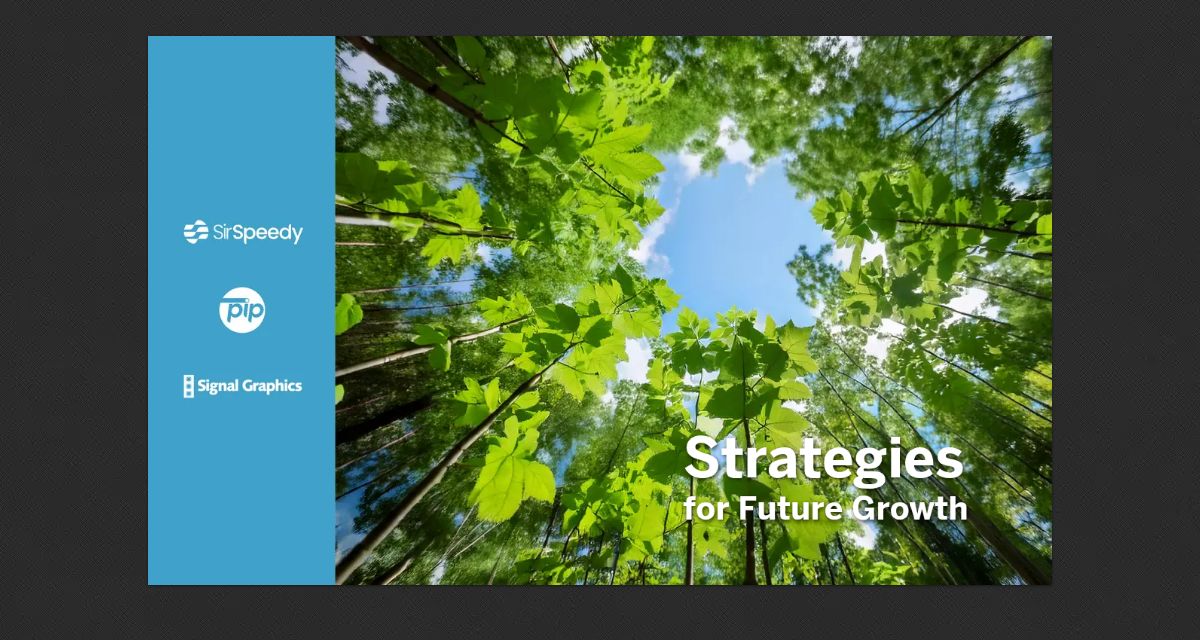 Strategies For Future Growth