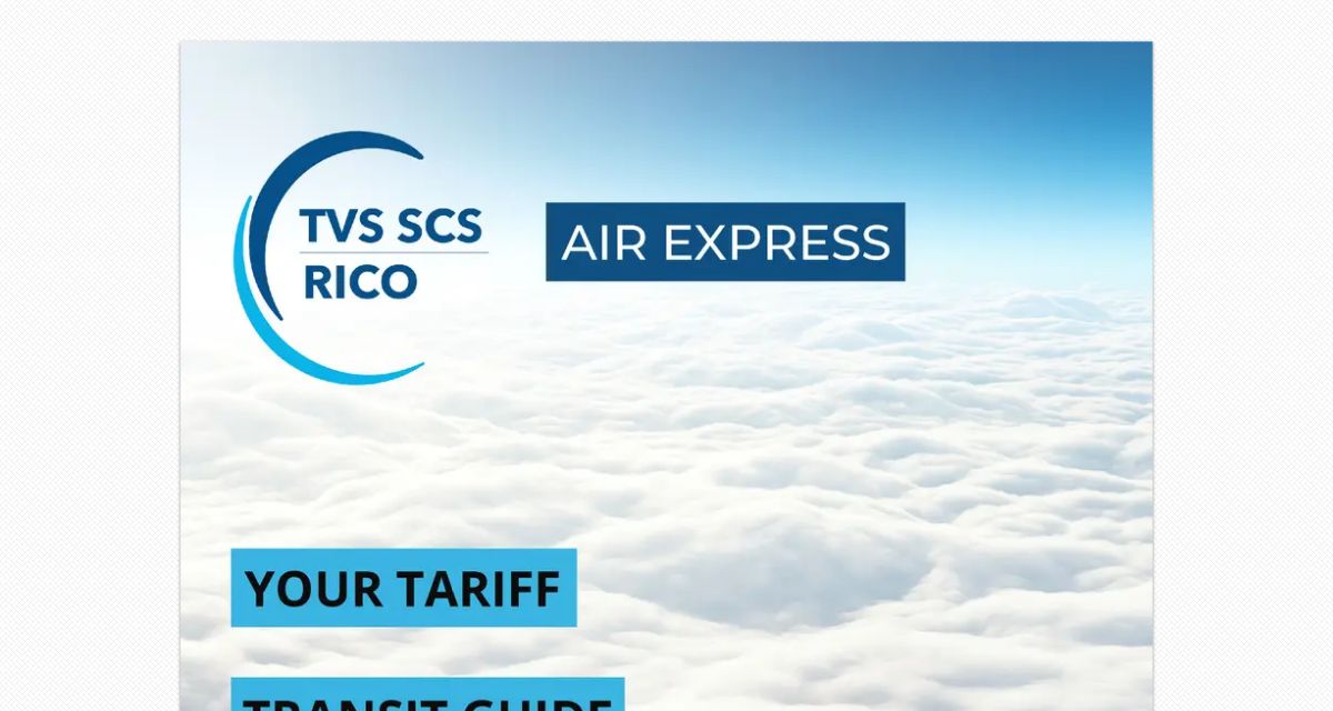 Rico Logistics International Air Express D2