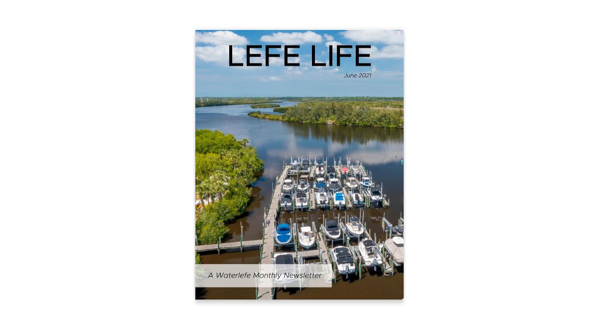 June 2021 Lefe Life