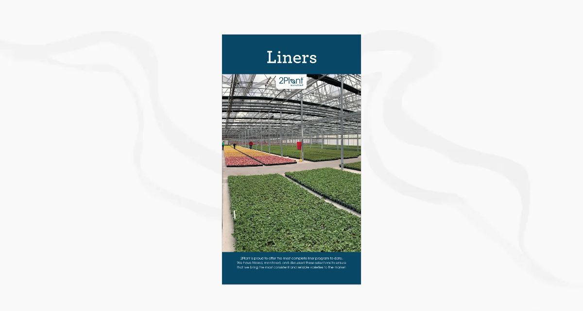 Liner