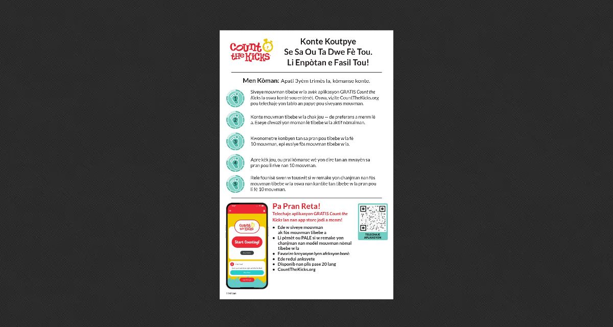 How to Count Kicks Flyer- Kreyòl Ayisyen (Haitian Creole)
