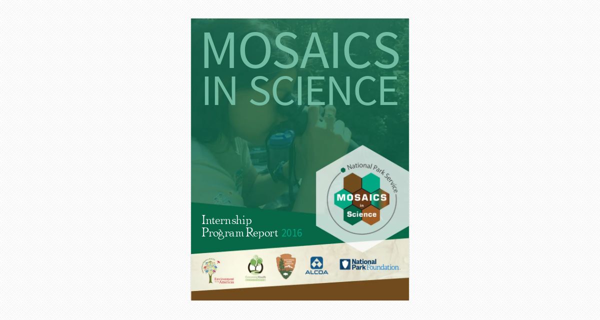2016 MIS Report : simplebooklet.com