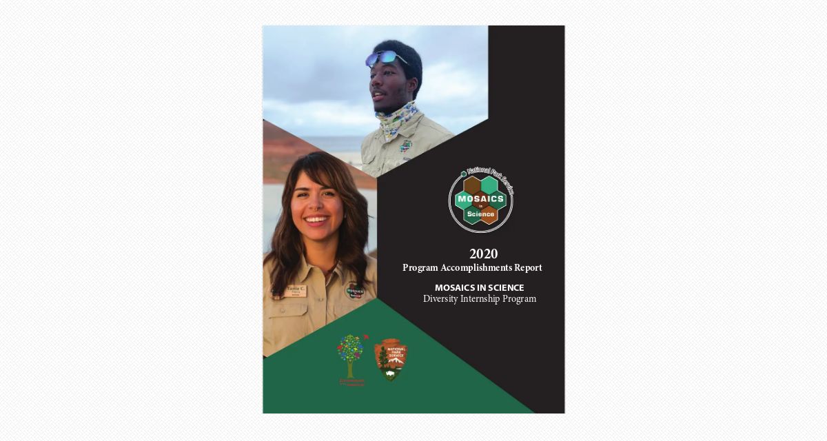 2020 MIS Report : simplebooklet.com