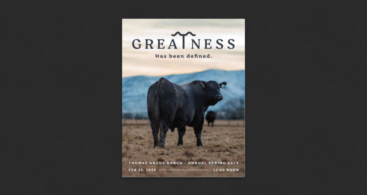 ThomasAngusRanch 2025SpringSale