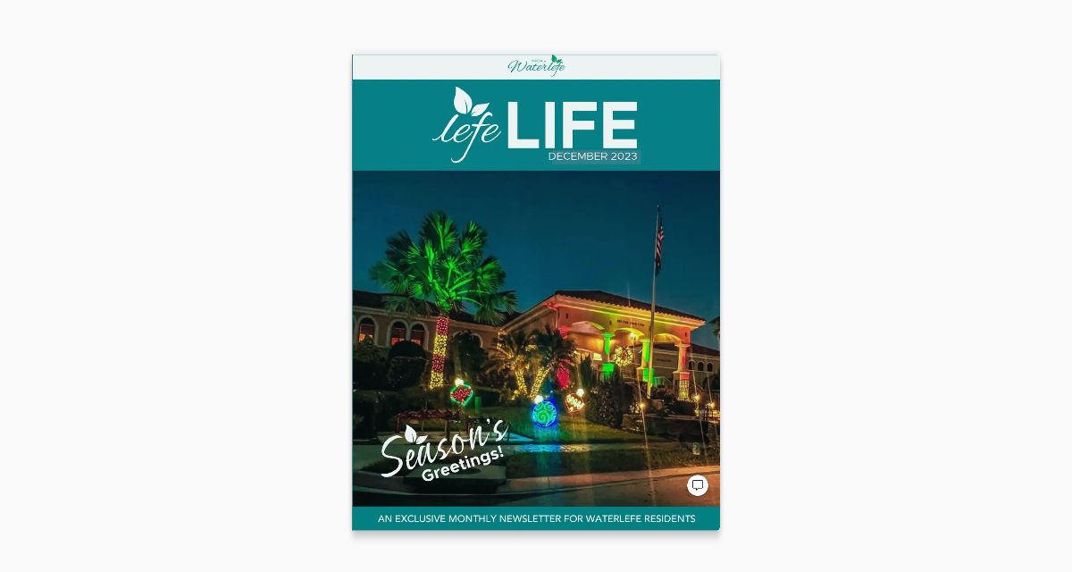 LEFE LIFE | December 2023