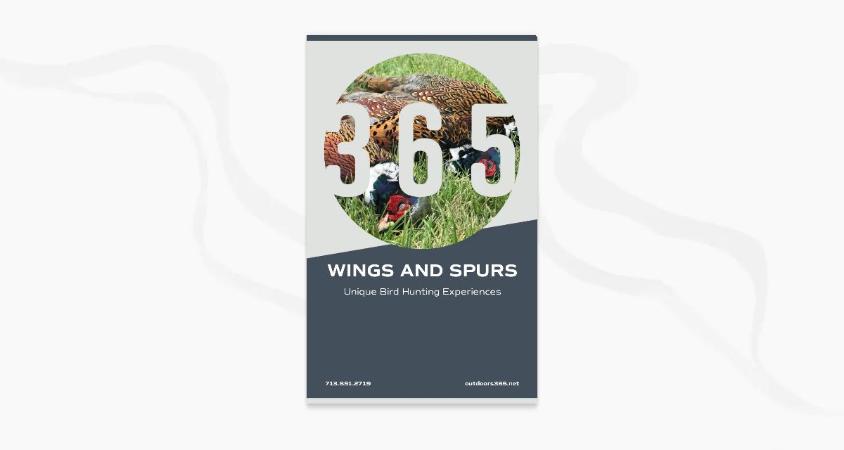O365 Wings and Spurs Bifold