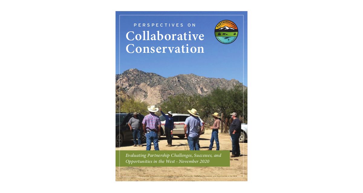 Collaborative Survey Report : simplebooklet.com