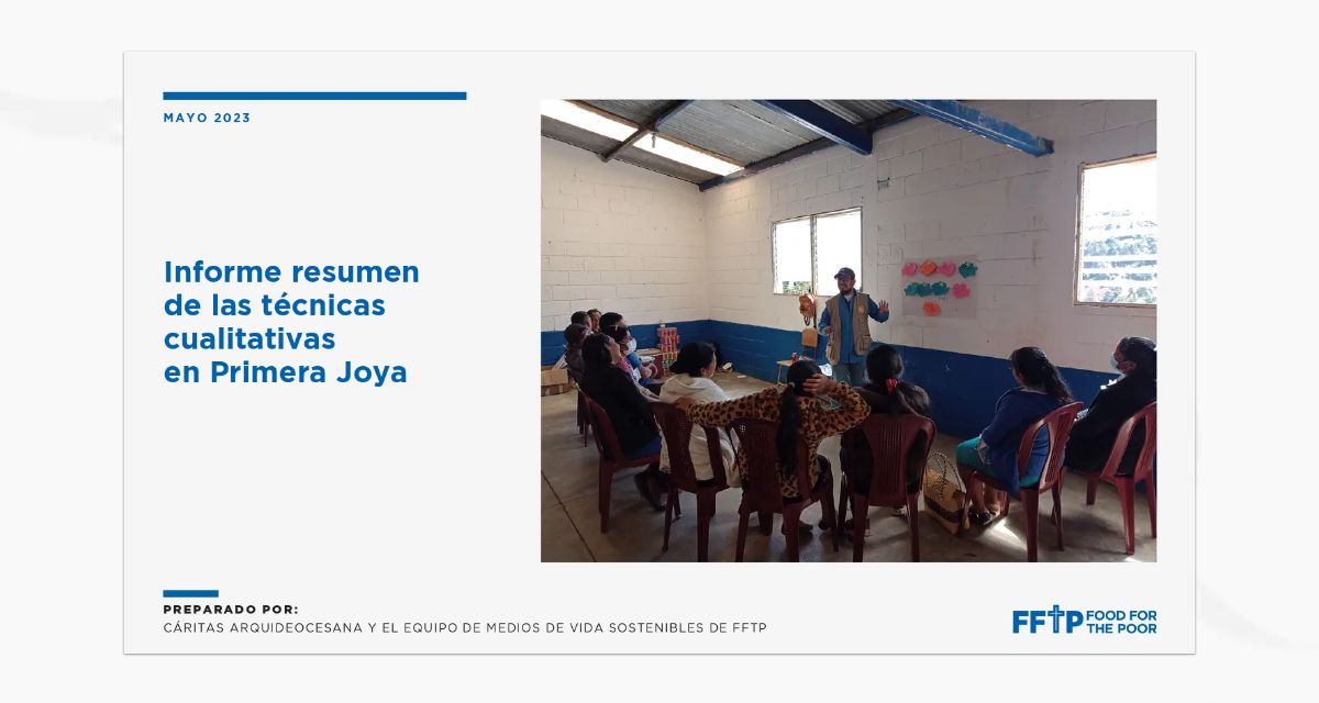 Reporte Cualitativo Primera Joya