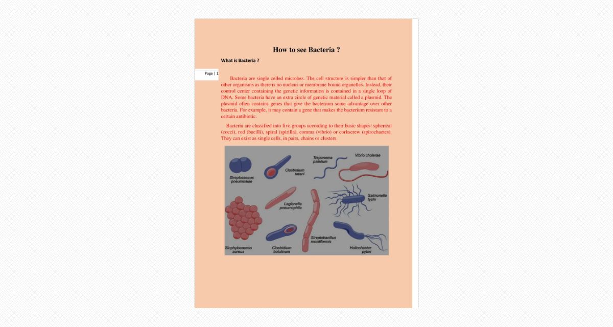 How to see bacteria ? : simplebooklet.com