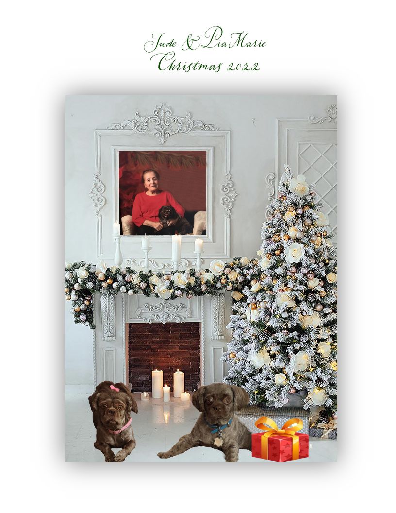 Mary Jude and Pia Christmas 2022