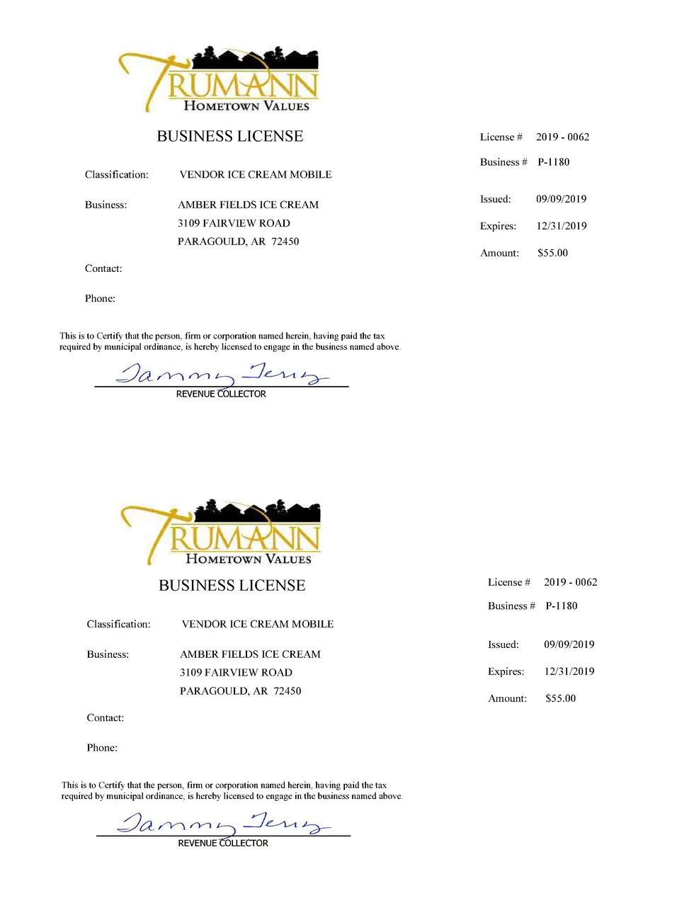 Permit/Business License Example