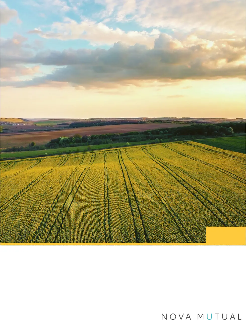 Nova Mutual Community Guide