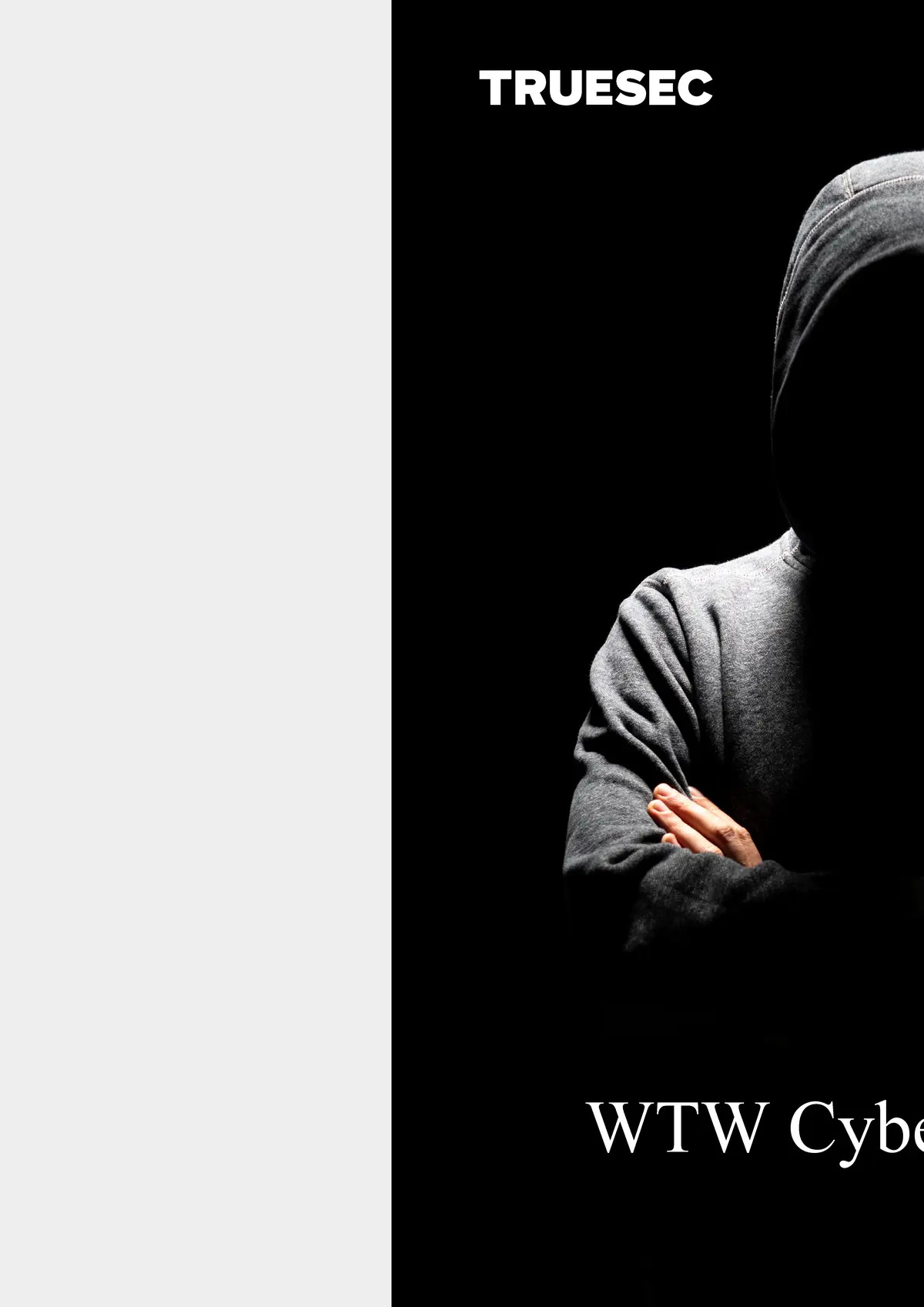 WTW Cyber Defender