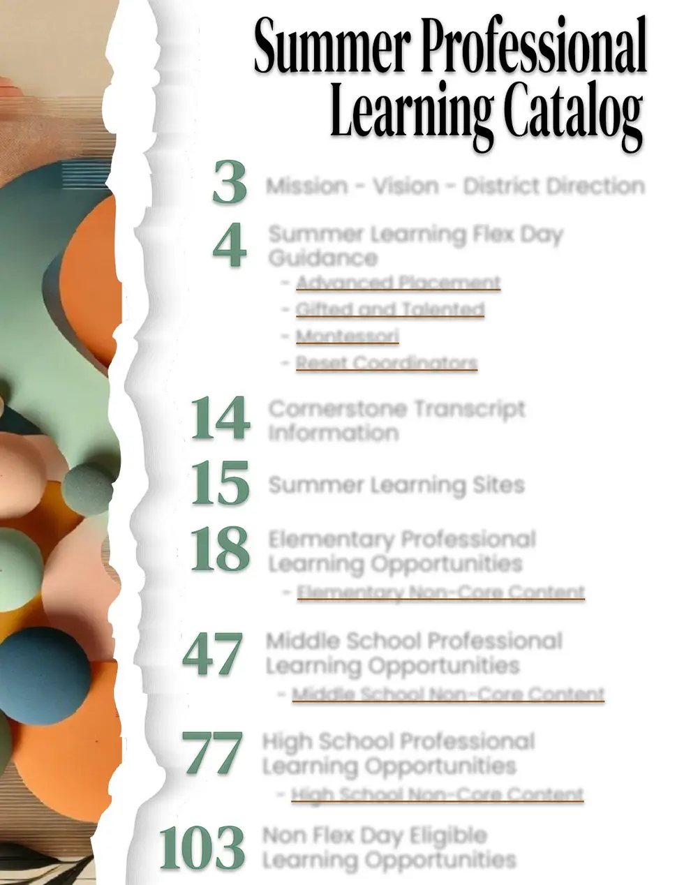 Summer 25 Professional Learning
