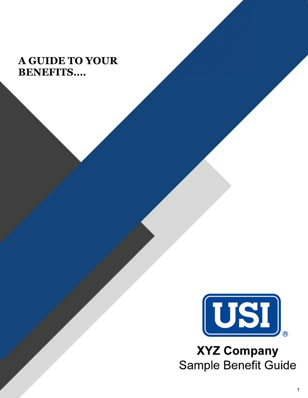 Generic Benefit Guide.pdf