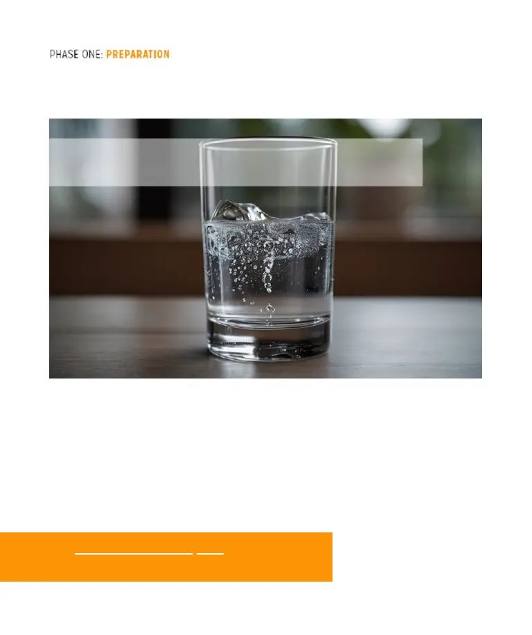 Slenderiiz Approved Food Lists (Slenderiix & Xceler8 Drops ...